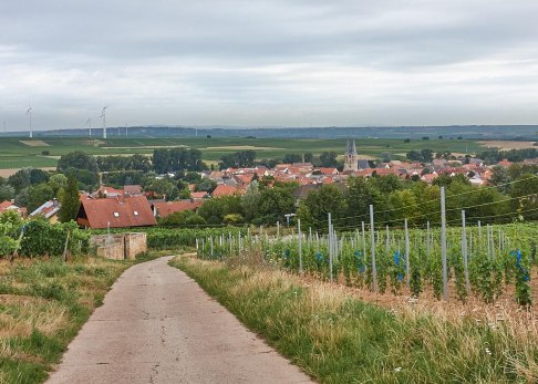 Ein Wandertag in Flonheim und auf der Hiwweltour Aulheimer Tal