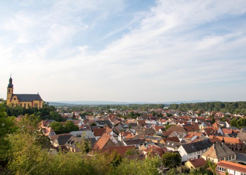 Von Mainz nach Worms - Wandern auf dem RheinTerrassenWeg. 5 Gründe!